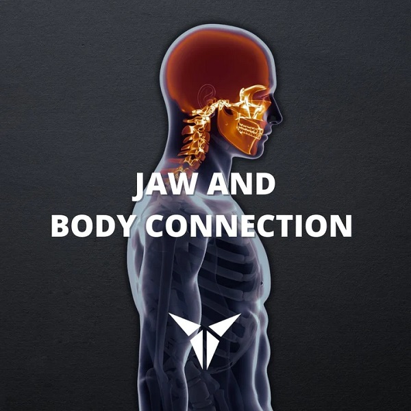 [GroupBuy] JAW AND BODY CONNECTION - Welcome Course